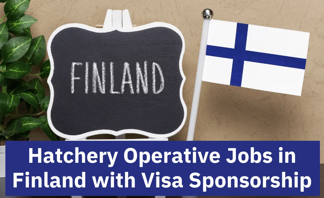Hatchery Operative Jobs in Finland with Visa Sponsorship