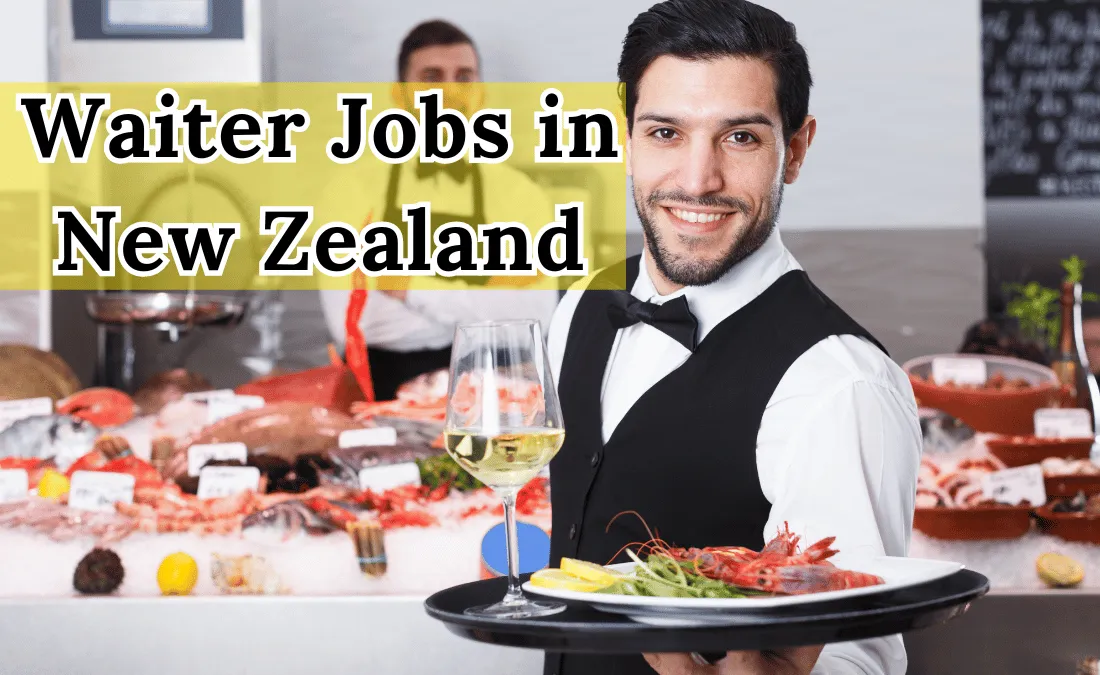 Waiter Jobs in New Zealand for Foreigners 2026